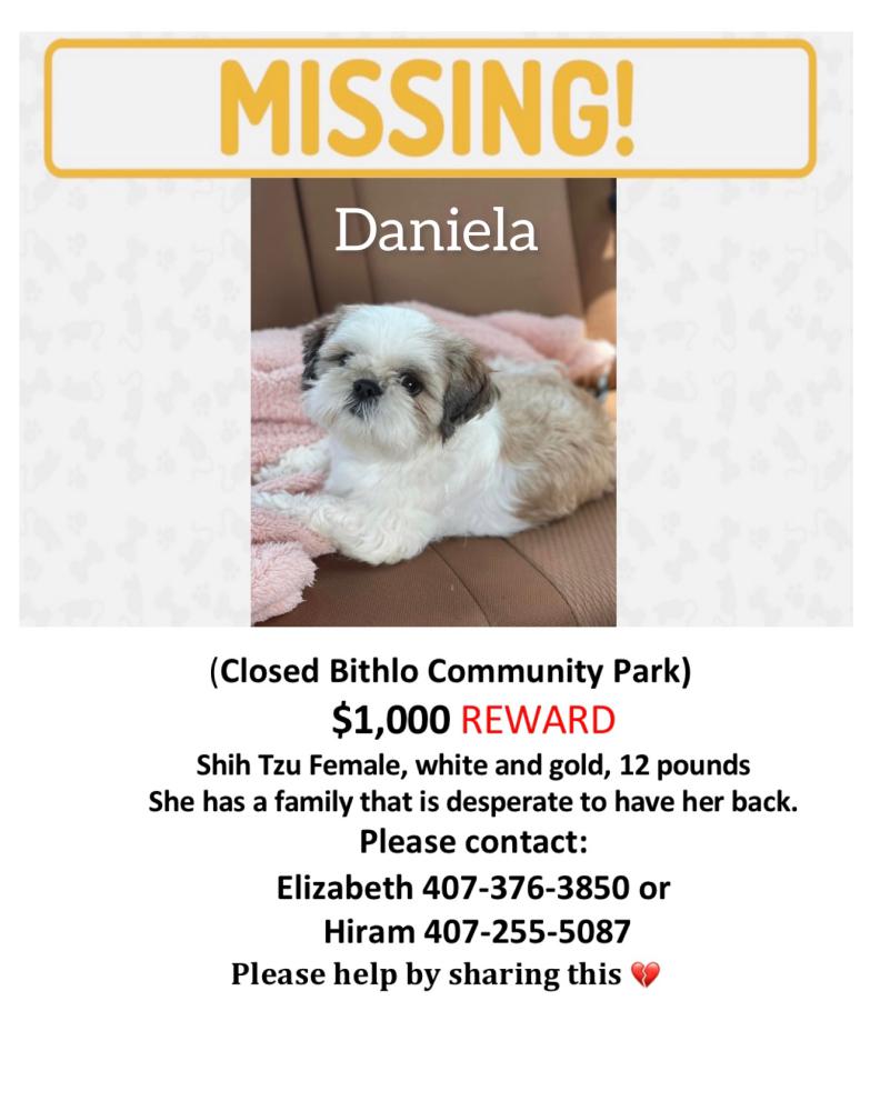 Lost Dog Shih Tzu in ORLANDO, FL - Lost My Doggie